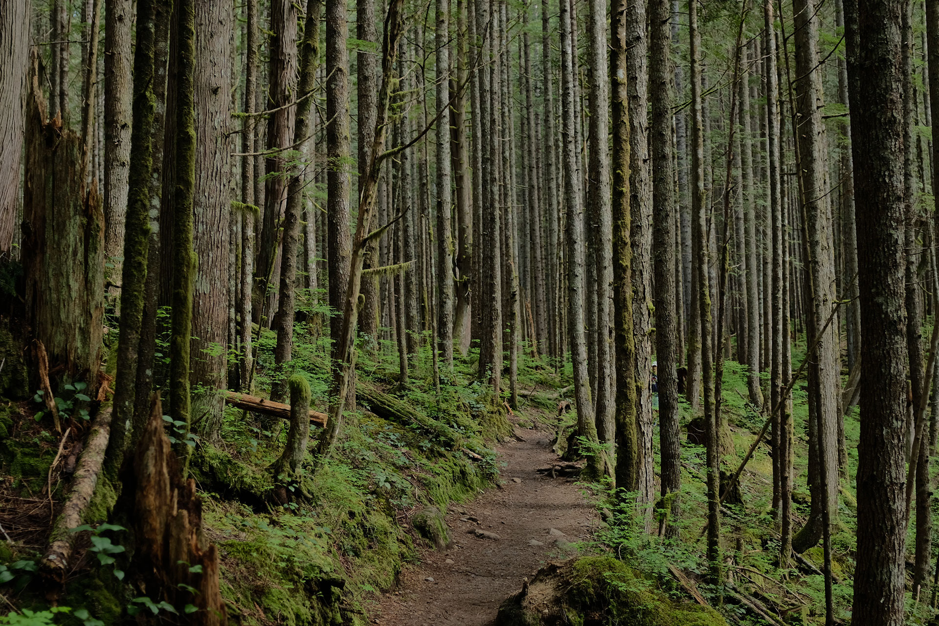 IMBA Trail Solutions – IMBA Canada